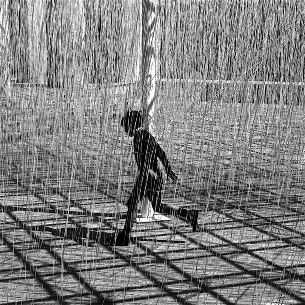 Soto - Penetrables - Large-scale participatory sculptures