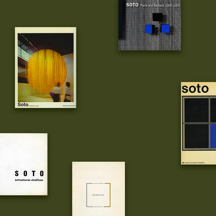 Jesús Rafael Soto Kinetic Art Official Artist's Website